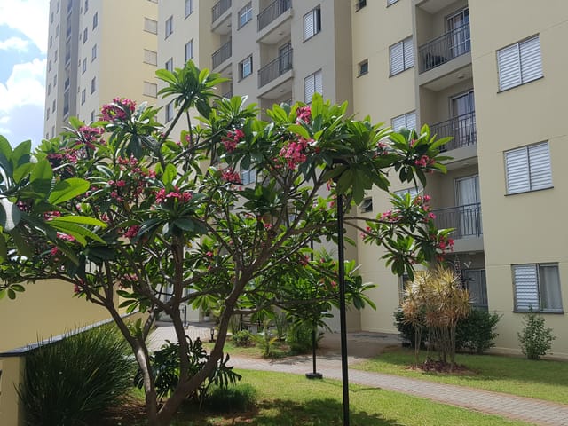 Apartamento à venda, Vila Siqueira (Zona Norte), São Paulo, SP - Arbo ...