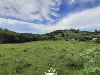Chácara à venda 2 Quartos, 15000M², ALIANÇA, SANTA CRUZ DO SUL - RS ...