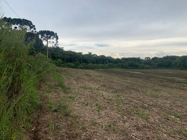 Chácara à venda, Área Rural de Fazenda Rio Grande, Fazenda Rio Grande ...