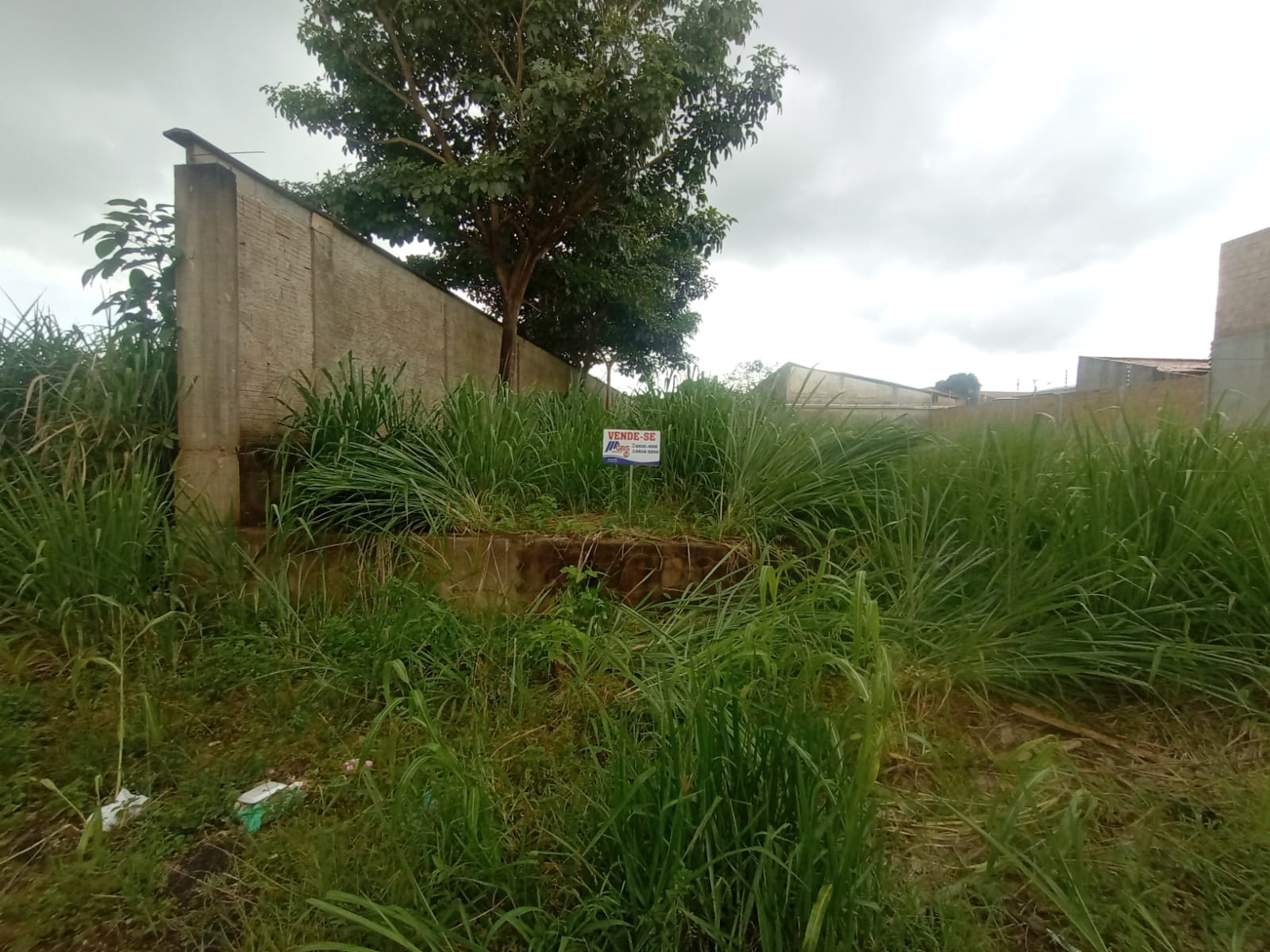 Terreno à venda, 43000M2