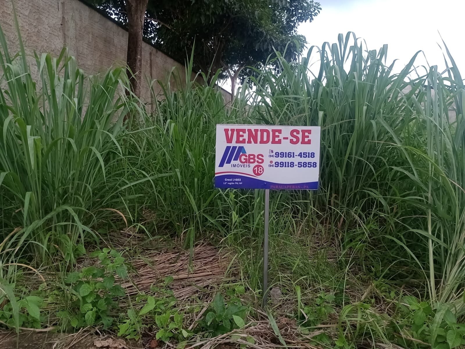 Terreno à venda, 43000M2