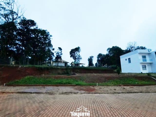 Terreno à venda JOÃO ALVES, SANTA CRUZ DO SUL - RS - Tayumi Imóveis