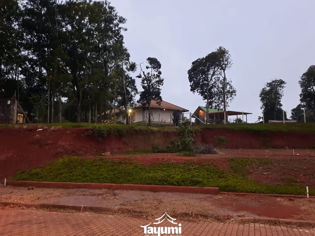 Terreno à venda JOÃO ALVES, SANTA CRUZ DO SUL - RS - Tayumi Imóveis